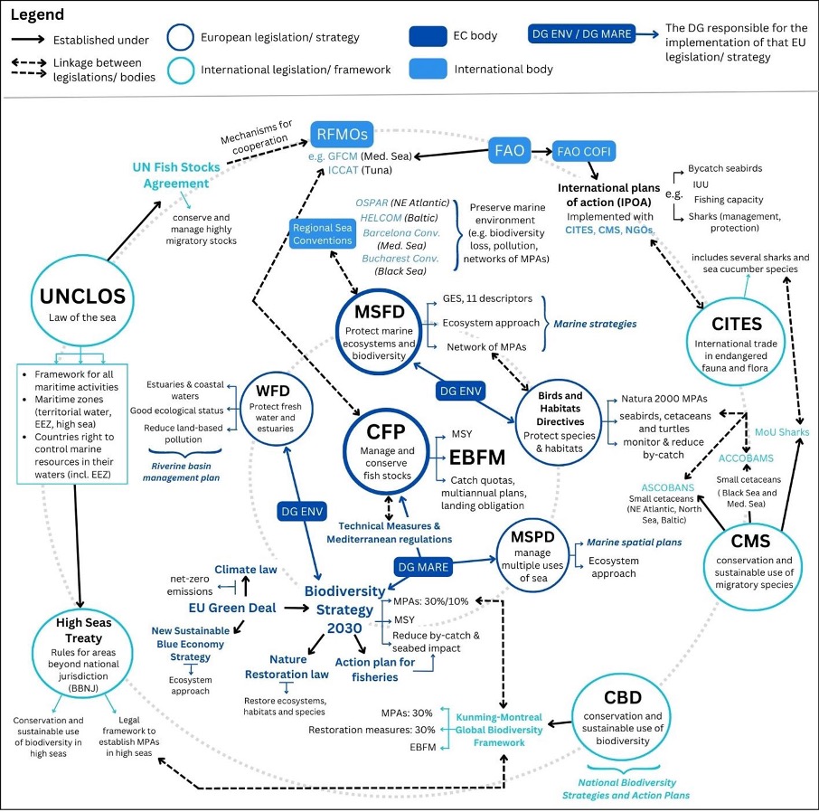 New EcoScope research helps advance use of EBFM ecosystem models for ...